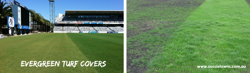 Evergreen Turf Covers